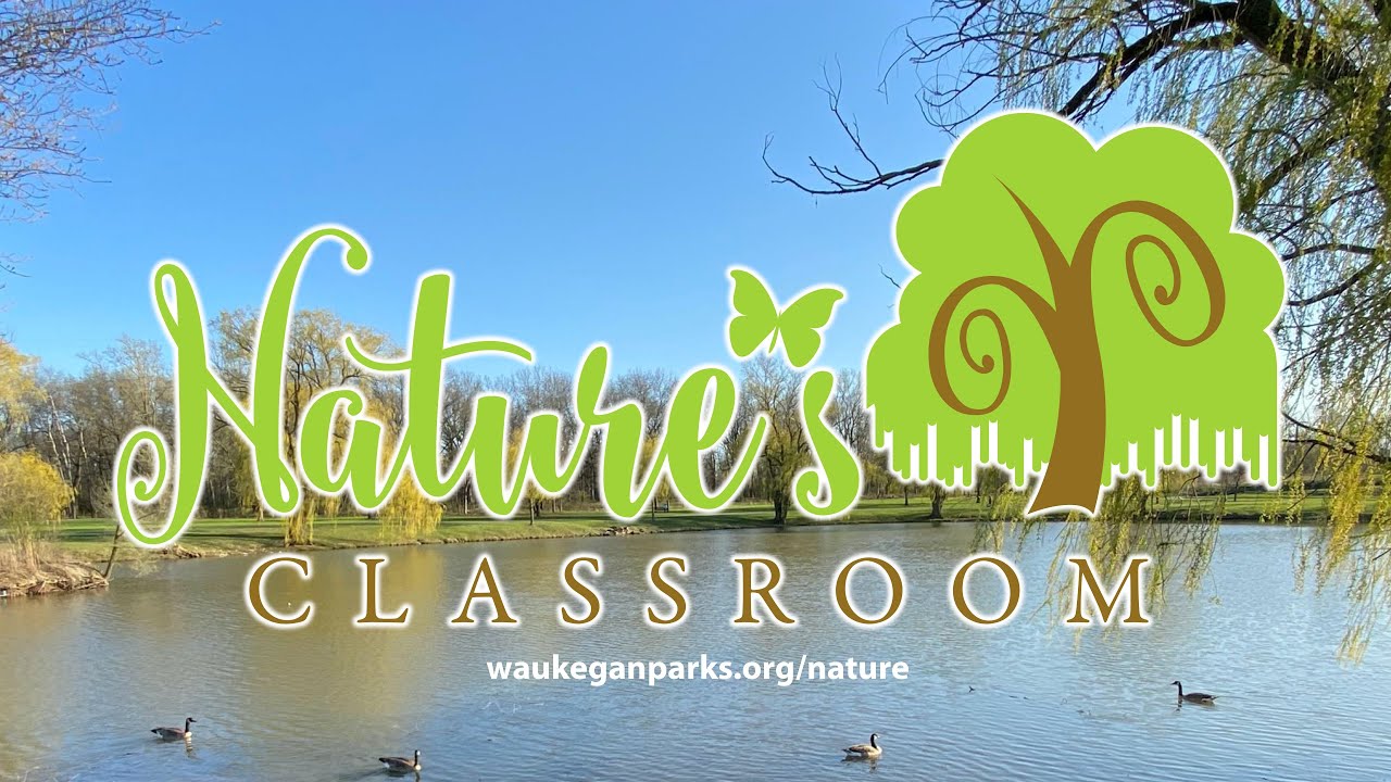 Nature's Classroom - YouTube