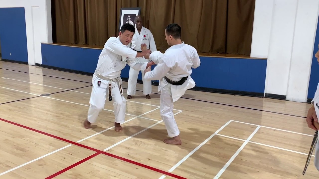 Chinte explained by Nemoto Sensei 6th Dan JKA All Japan Kumite Champion ...