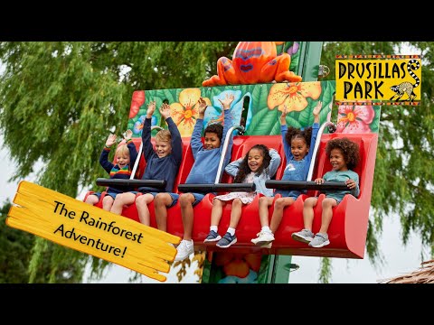 Best Zoo in South East & Sussex | Family Days Out | Drusillas Park