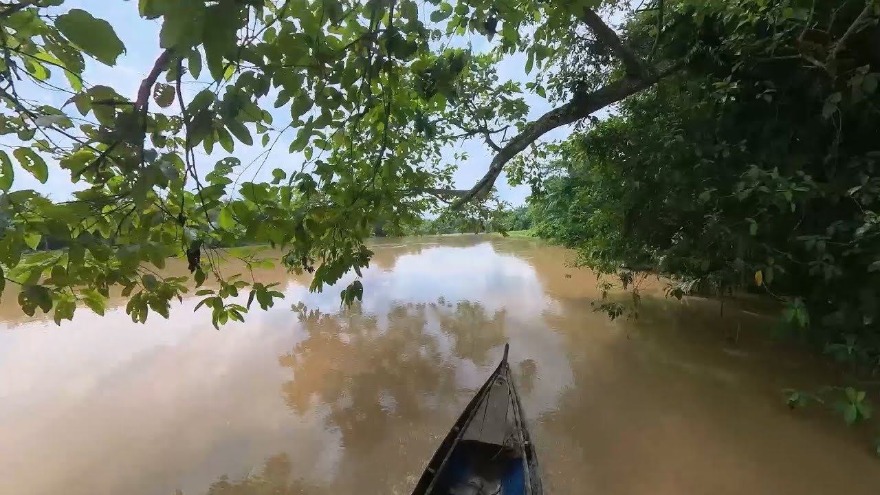 fishing on river - human activity on a humble river for relaxing - YouTube