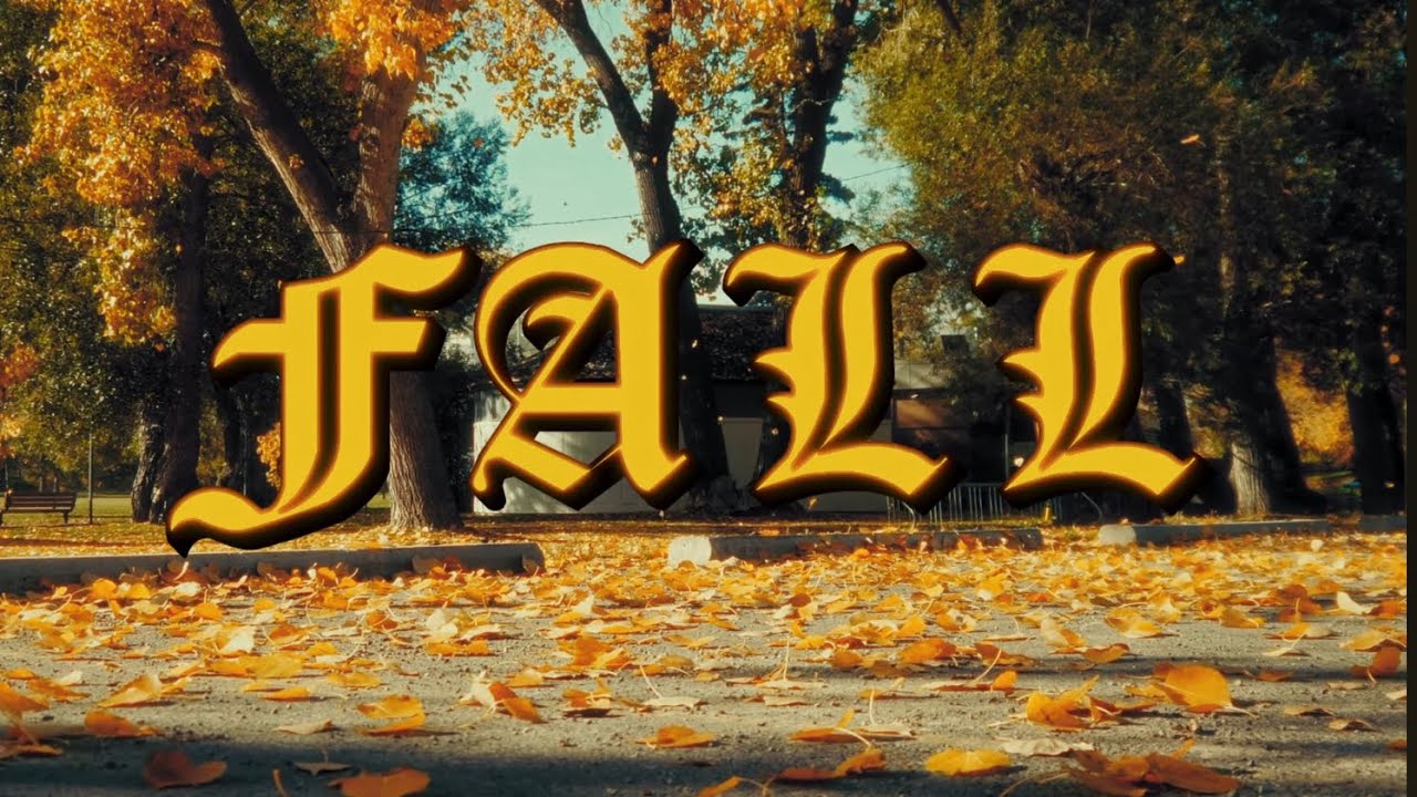 FALL | Cinematic Short - YouTube