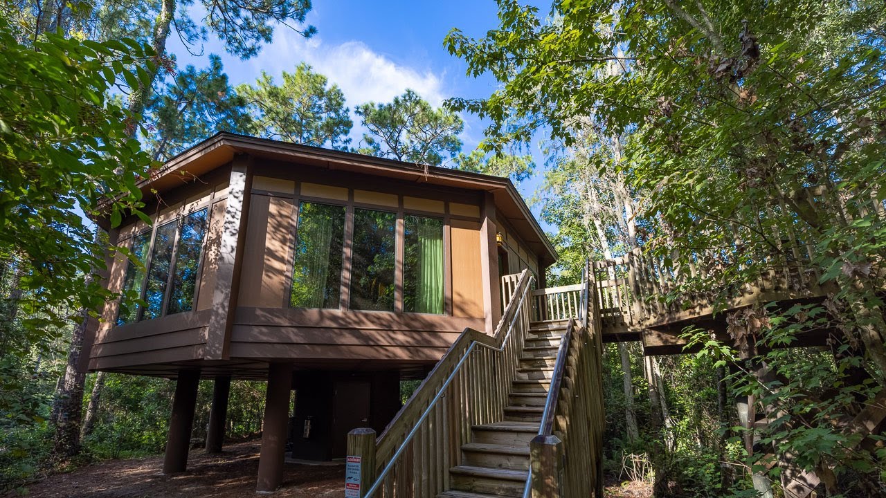 Disney's Treehouse Villas Room Tour - Disney's Saratoga Springs Resort ...