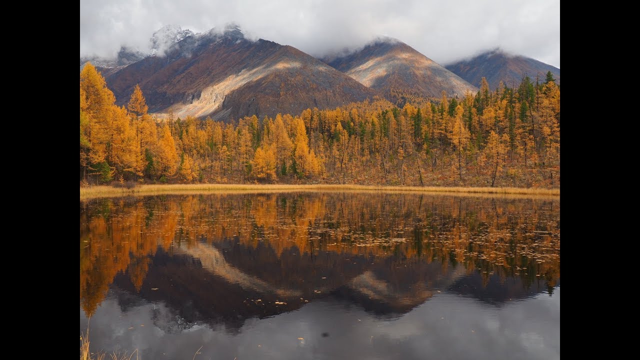 Divočinou sibiřské tajgy - upoutávka - YouTube