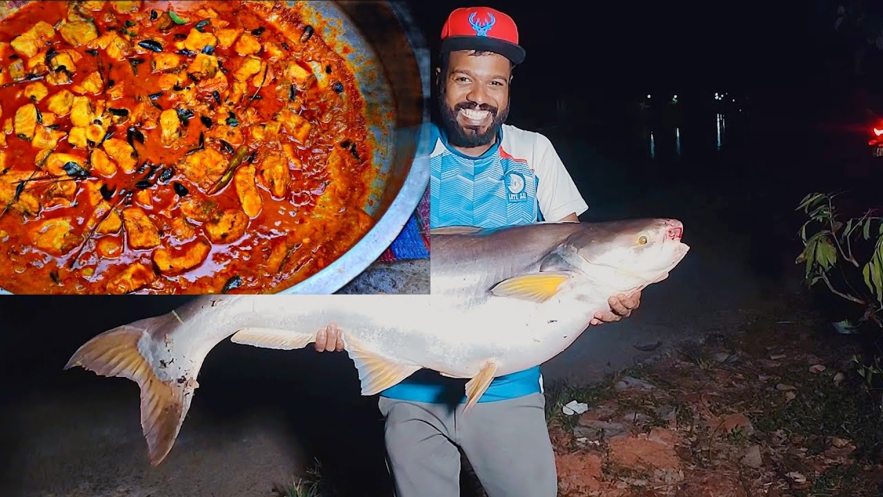 VAALA FISH COOKING ഇത്രയും നാളുകളിൽ കായലിൽ നിന്ന് കയറിയ ഏറ്റവും🔥🔥🔥 വലിയ ...
