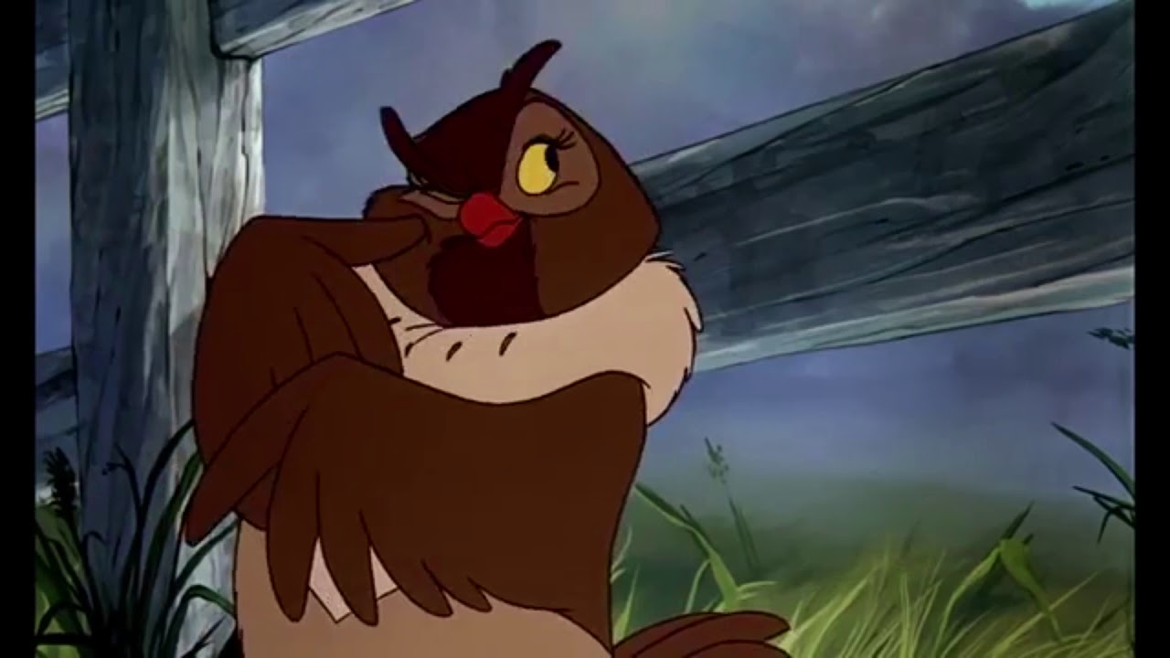 101 Wild Animals Part 7 - Wild Animalnappers - YouTube