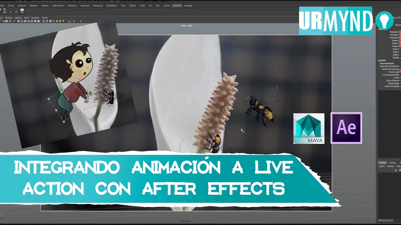 Integrando animación a live action con After Effects - YouTube