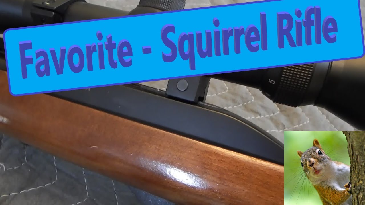 Favorites: Squirrel Rifle - YouTube