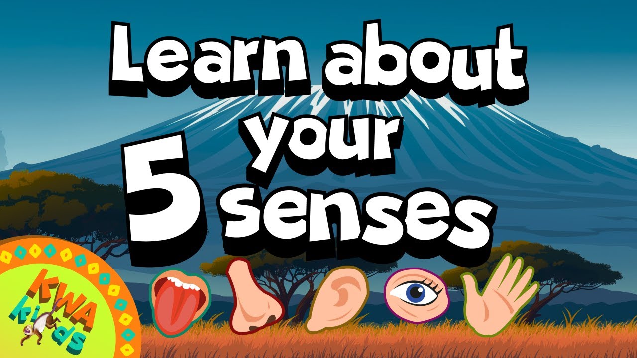 The 5 Senses Song | Explore Sight, Sound, Smell, Taste, and Touch with ...