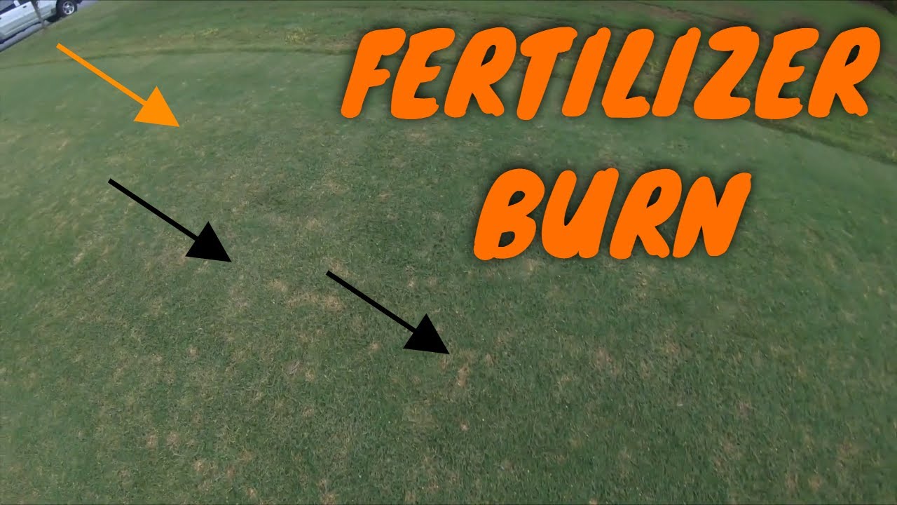 Sad Lawn Update - Fertilizer Burn - Leveling Update - Weed Killer ...