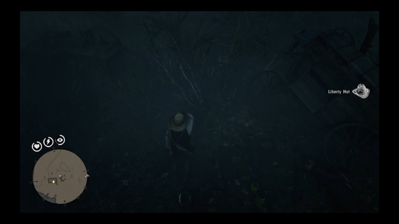 Red Dead Redemption 2 - Found Liberty Hat in A Fine Night For It ...
