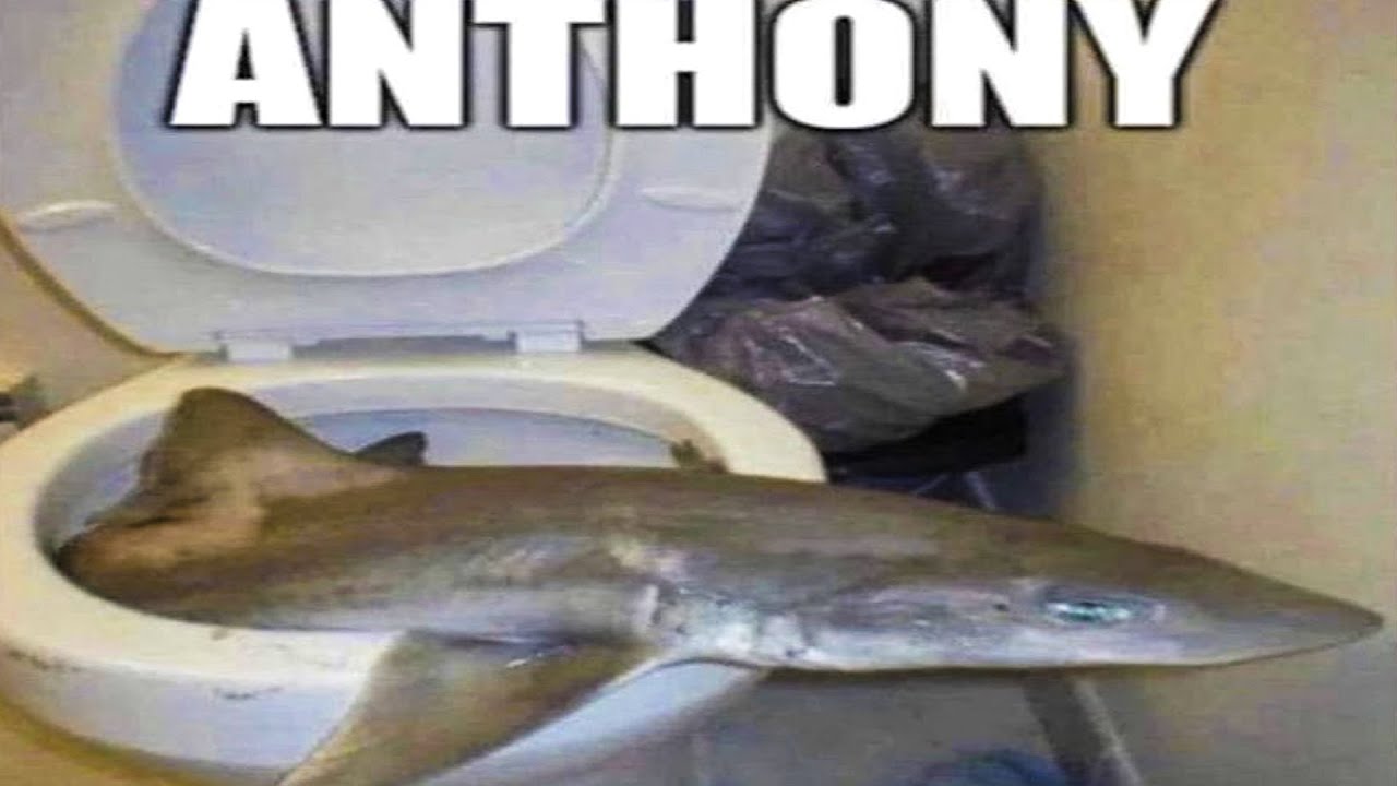 Cursed Side Of Internet V101 - YouTube