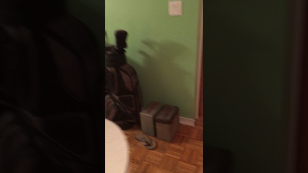 Poop in a pot - YouTube