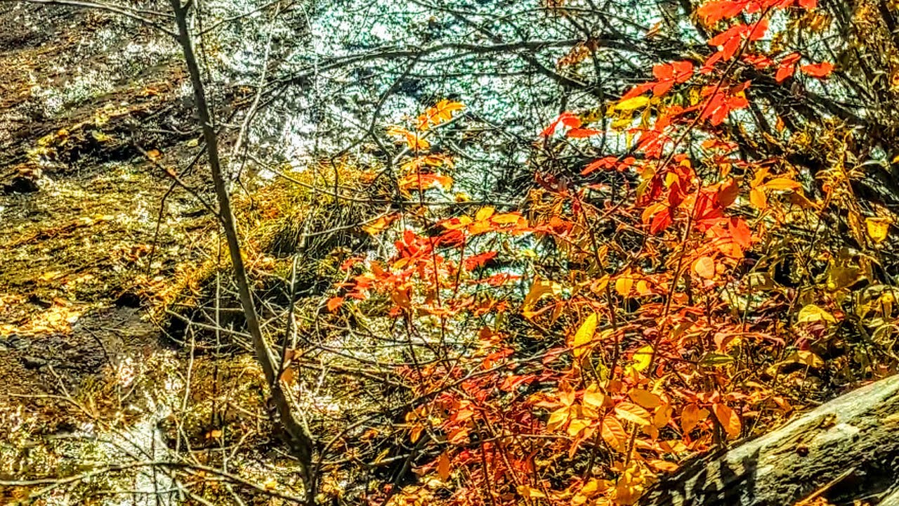 Haunted Helen Hunt Falls | Haunted Hikes - YouTube