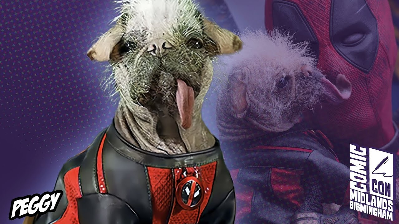 Peggy (AKA DOGPOOL) | Full Q&A | Comic-Con Midlands (July 2025) - YouTube