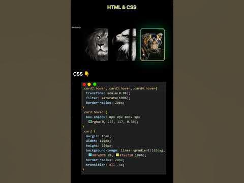 One Comment please #html #css #html5 #css3 #csstricks#cssanimation #learnhtml #learncss #csstip ...
