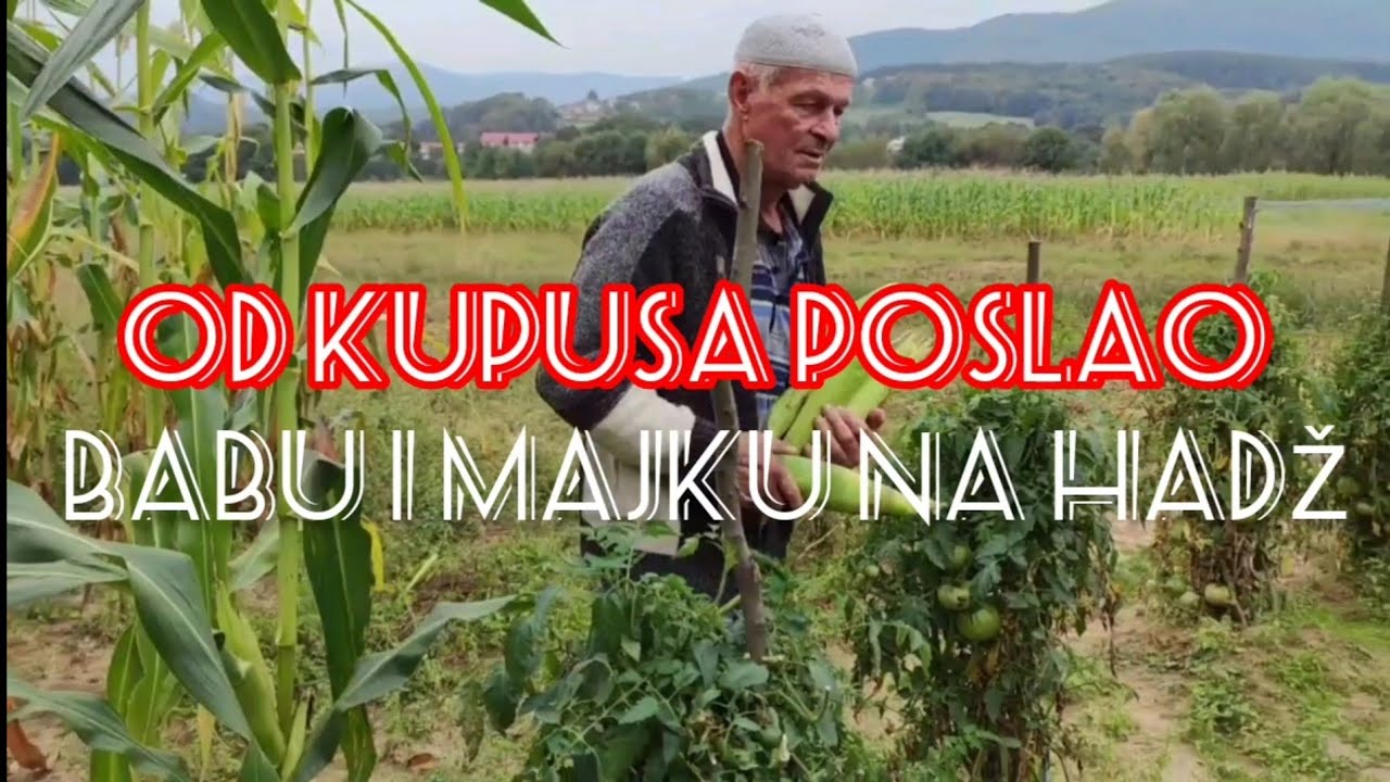 BILALOVAC / Dajem dnevnicu 70 maraka i hranu opet teško radnika naći da ...