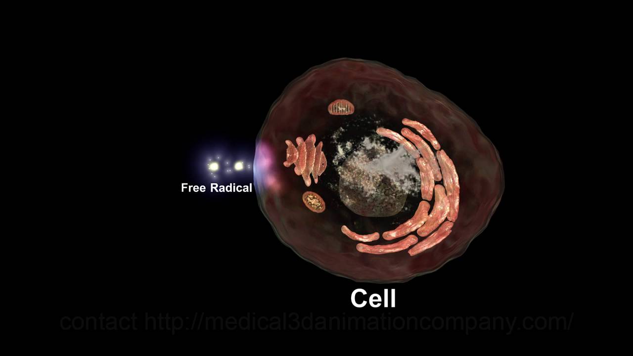 free radical unpaired electron antioxidant 3d medical animation company ...