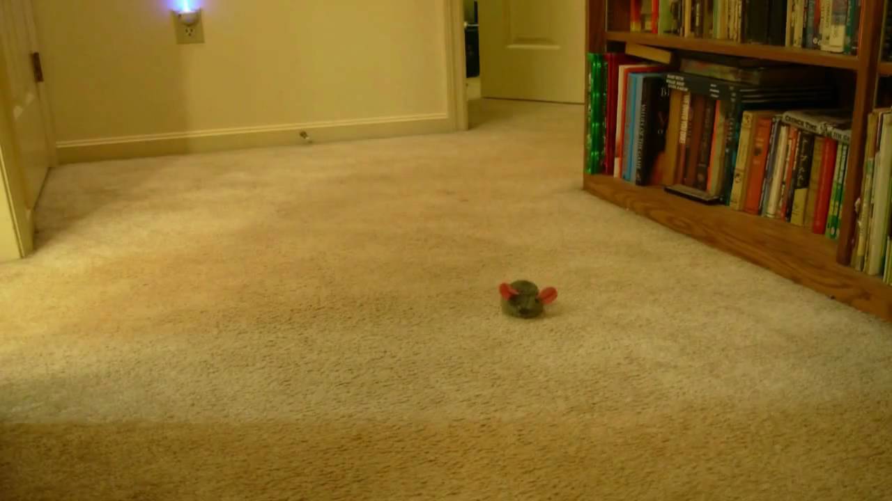 The outcome of my stop motion tutorial video (mouse) - YouTube