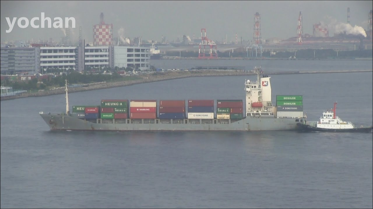 Container Ship: PEGASUS PACER (Dong Young Shipping, IMO: 9283150) - YouTube
