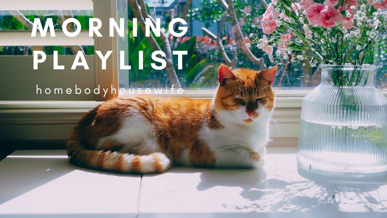 (Playlist) Morning Relaxing Music, Sleep, Study quite routine - YouTube