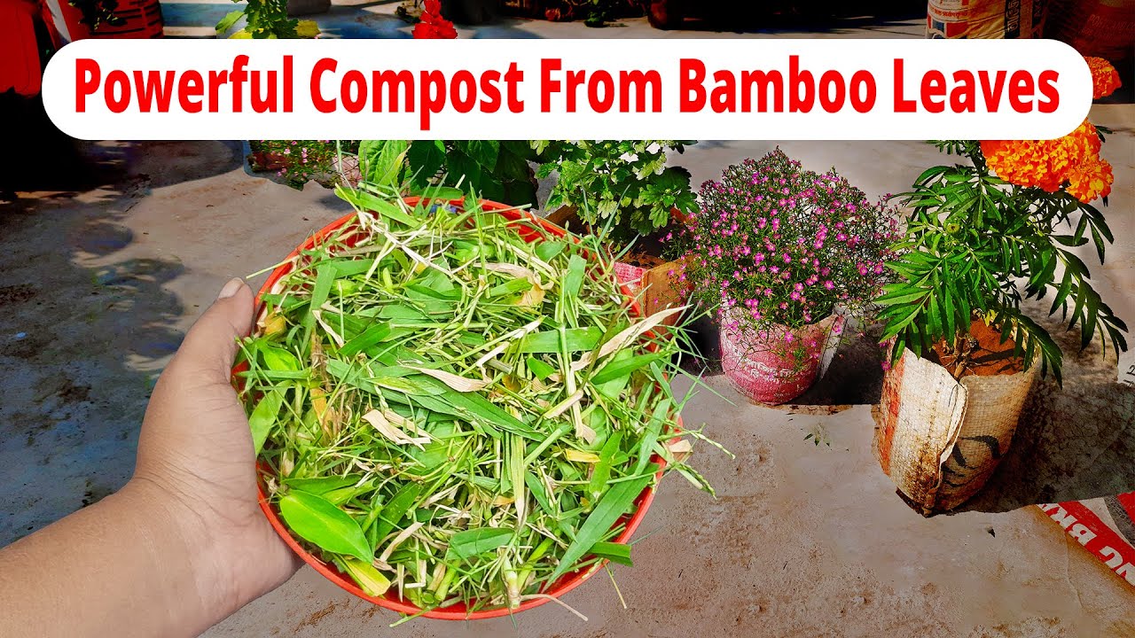 How To Make Liquid Compost | IN 10 DAYS | How to make compost using ...