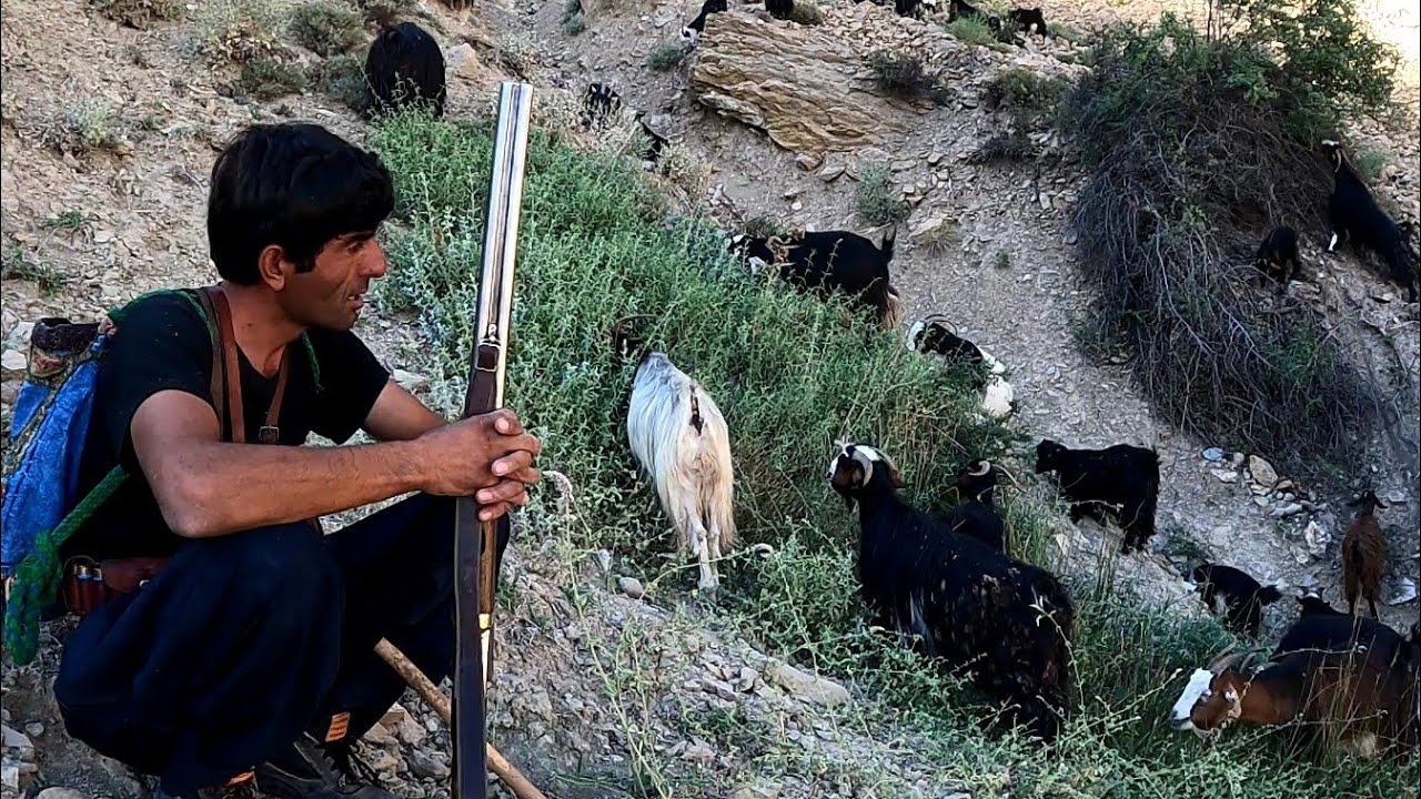 Authentic Life Unveiled: Exploring the Realities of Rural Family in ...