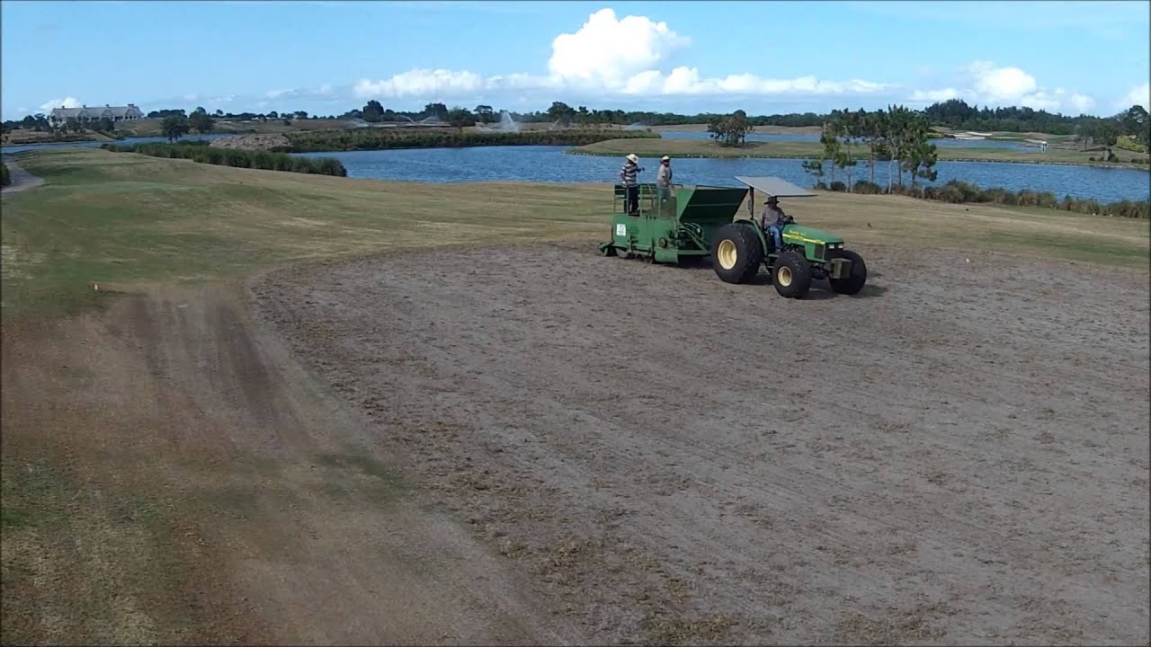 #11 Sprigging - YouTube