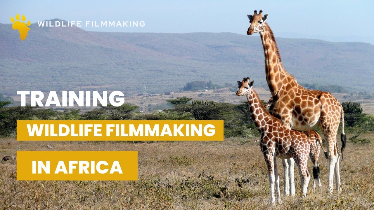 Wildlife Filmmaking Program for aspiring wildlife filmmakers set in the ...