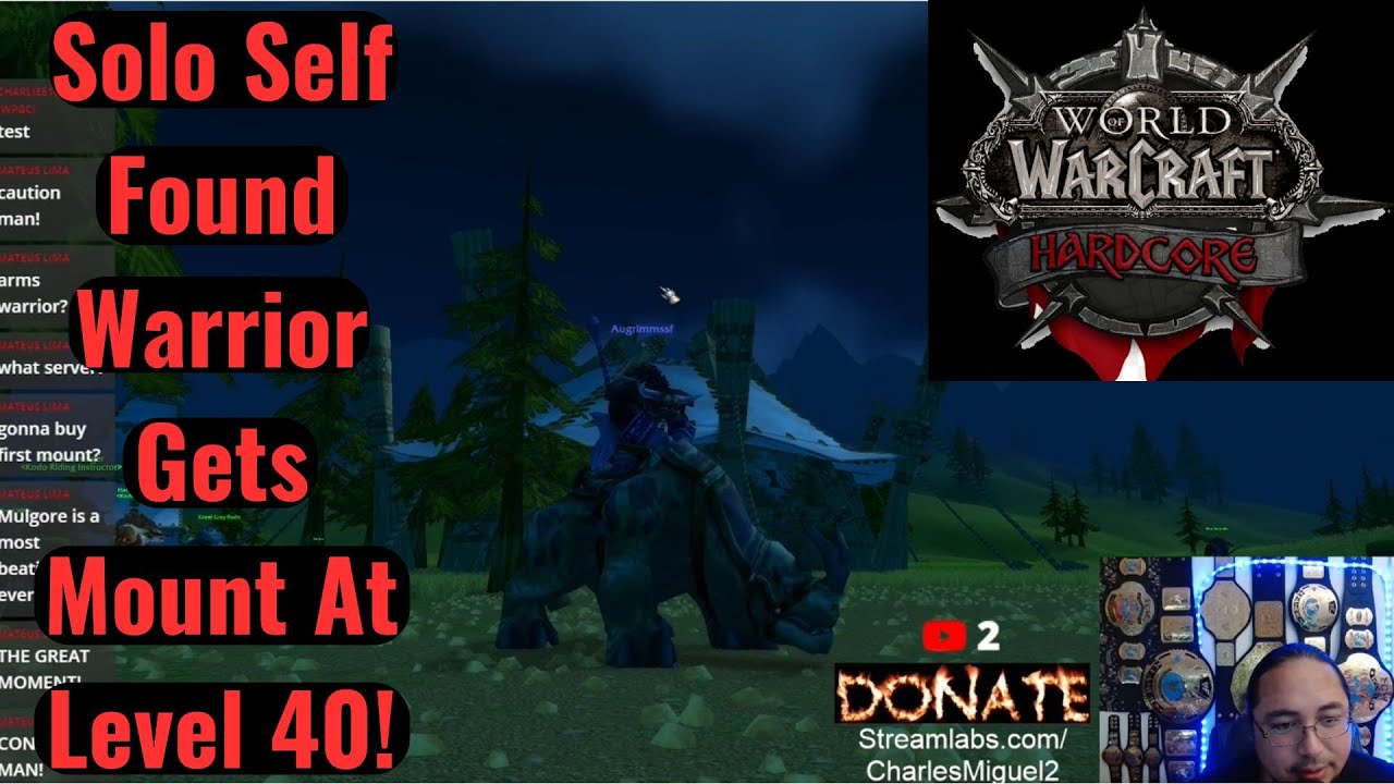 Wow Classic Hardcore. How To Get Your Mount At Level 40 On A Solo Self ...