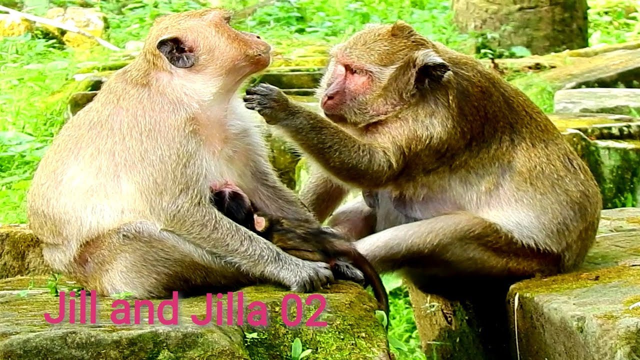 Awesome! Mama Popeye Satisfied For Nurse Jill and Jilla,Young Mom Jill ...