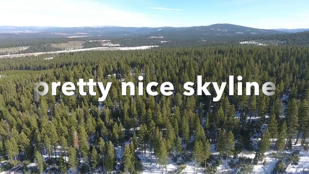 logging views from sky - YouTube