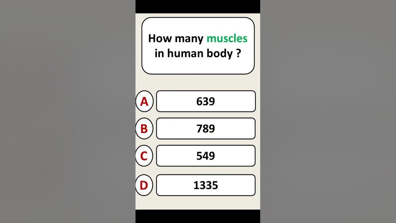 How Many Muscles In Human Body Everyday Science YouTube how-many-muscles-in-human-body-everyday-science-youtube