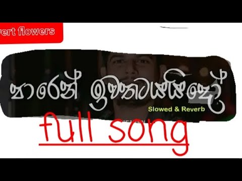 පාරෙන් ඉවතට යයිදෝ full song ( paren iwatata yaido full song || 2024 ...
