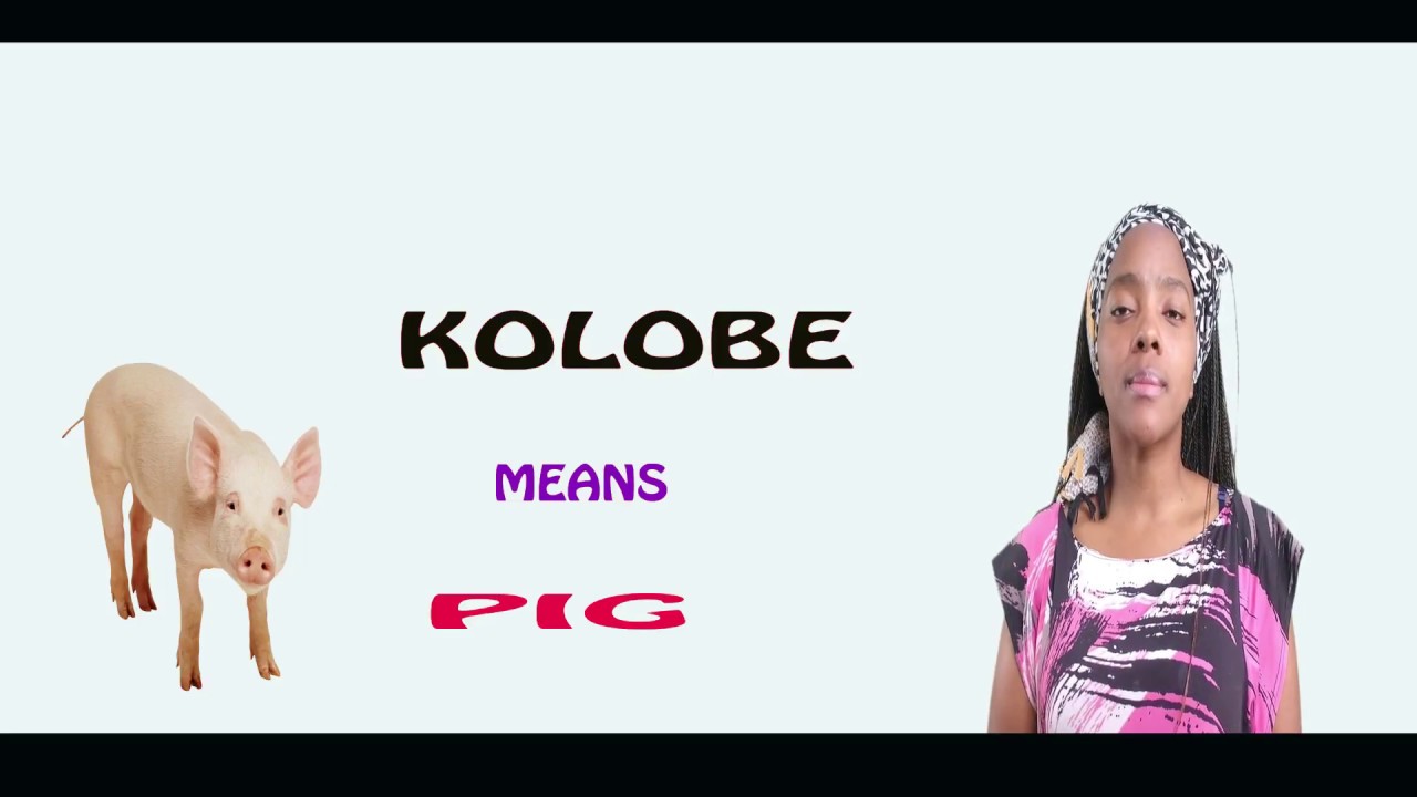 LEARN DOMESTIC ANIMAL NAMES IN SOTHO - YouTube