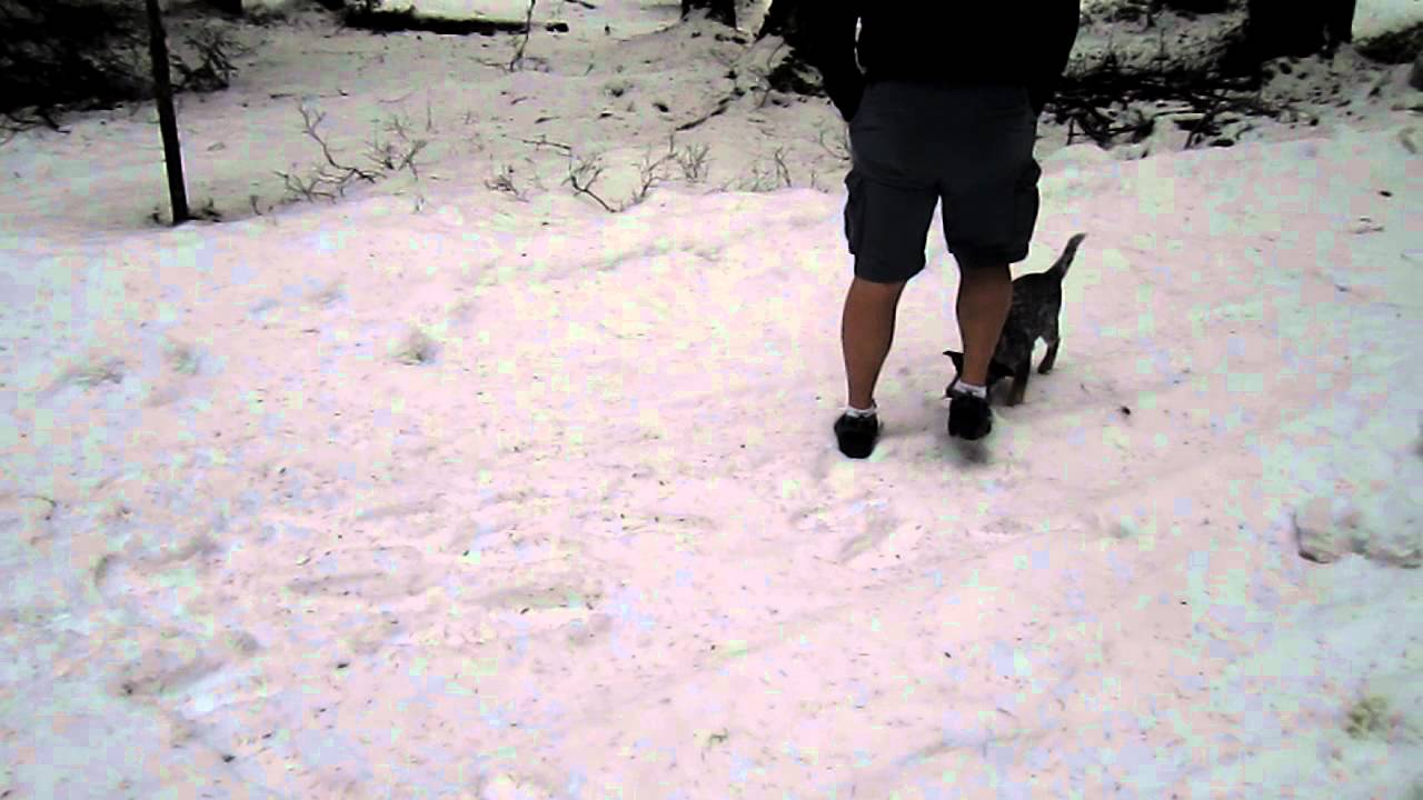 First pee in the snow! (Part 1) - YouTube