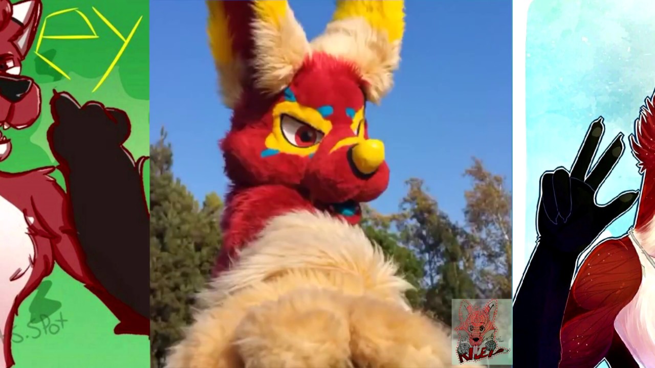 Furry Vine Compilation 7 - YouTube