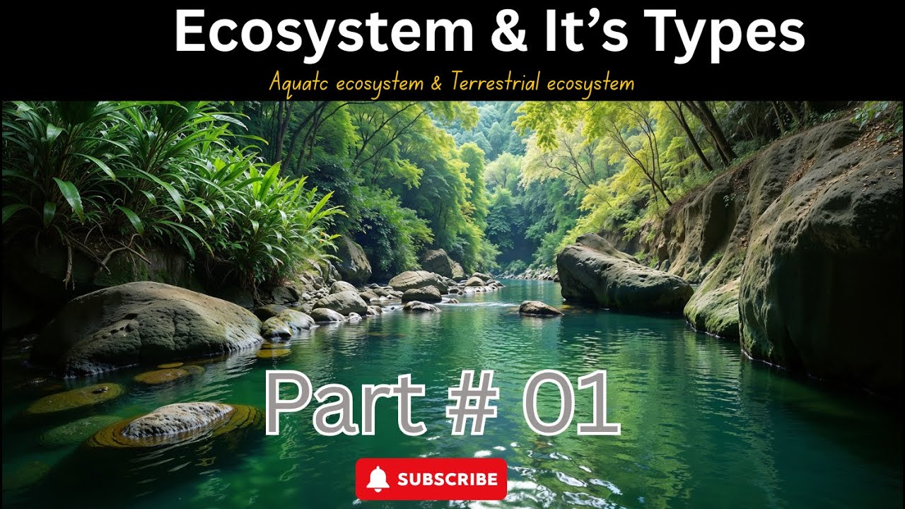 Types of ecosystem: terrestrial and aquatic ecosystems || Biotic ...