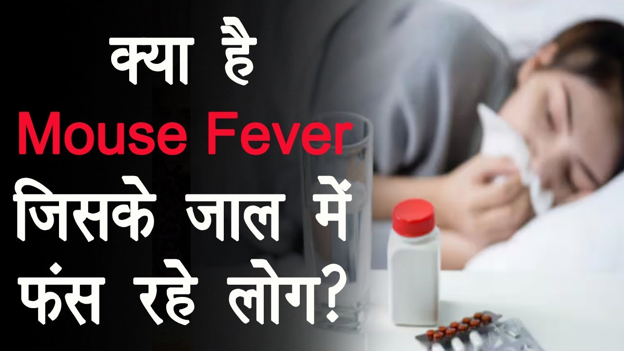 Russia-Ukraine war: 'Mouse Fever' के शिकार हुए Russian Soldier, आंखों ...