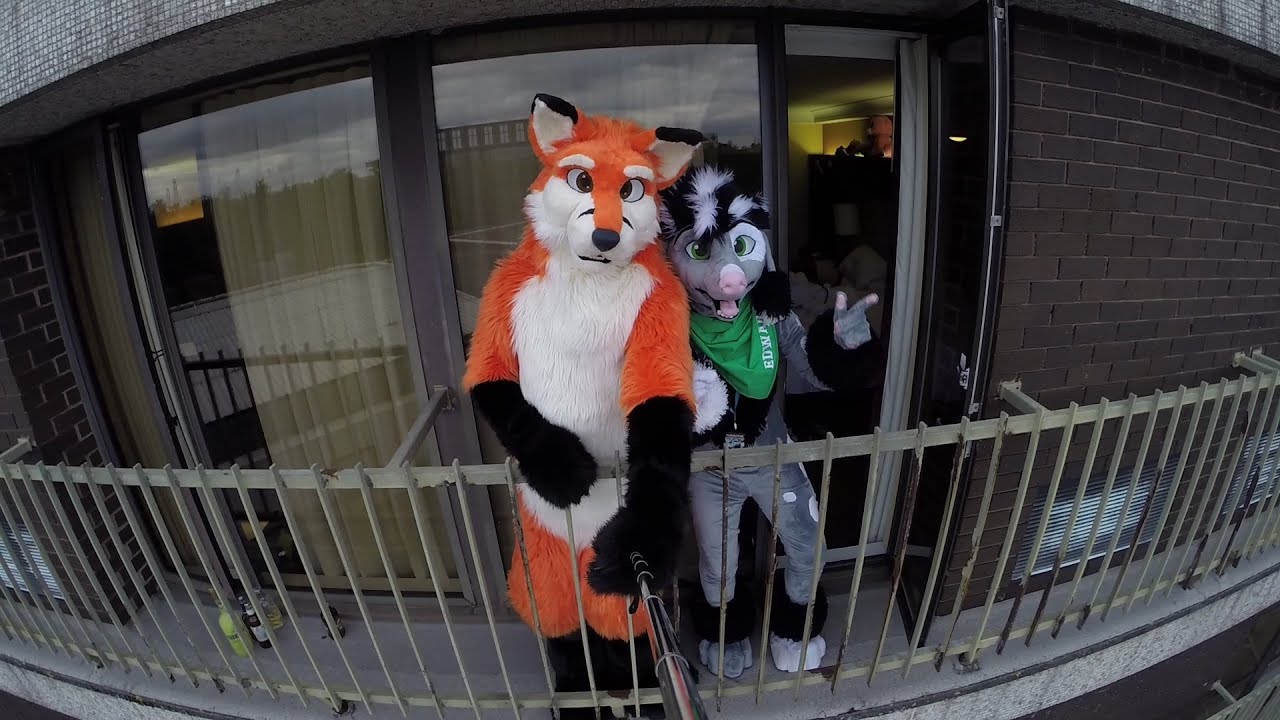 Confuzzled 2015 - A Wonderland Music Video - YouTube