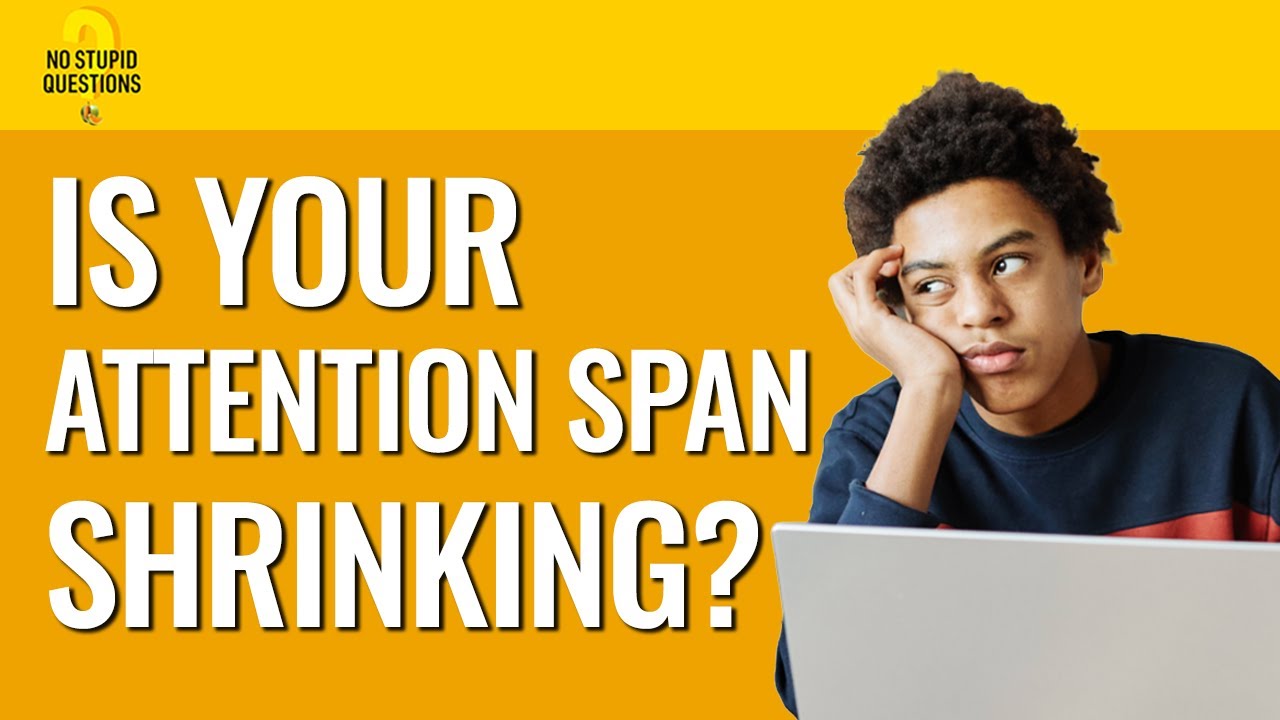 220. Is Your Attention Span Shrinking? | No Stupid Questions - YouTube