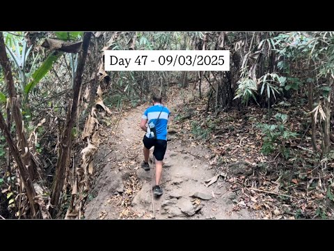 Day 47: Chiang Mai - Monks Trail to Wat Anagami, Wat Pha Lat and Doi ...