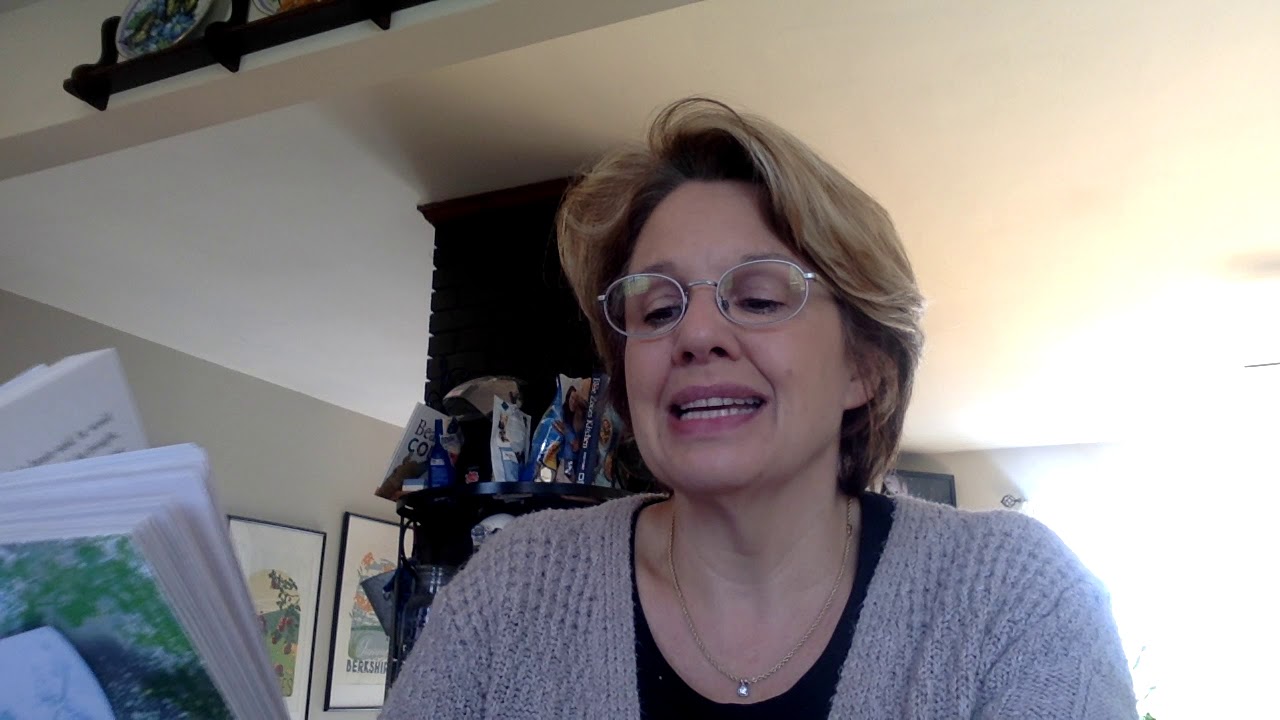 Hatchet Chapters 7 & 8 - YouTube