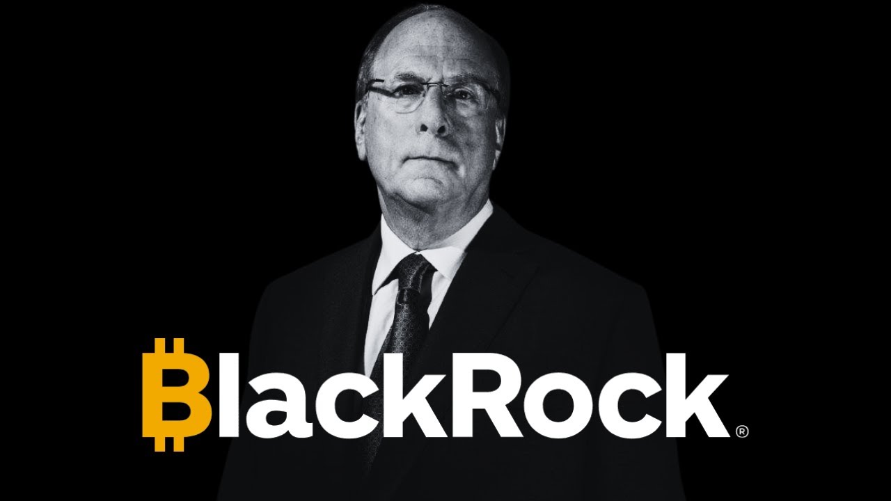 BlackRock - "Bitcoin is Risk Off" | Bitcoin Banter - YouTube