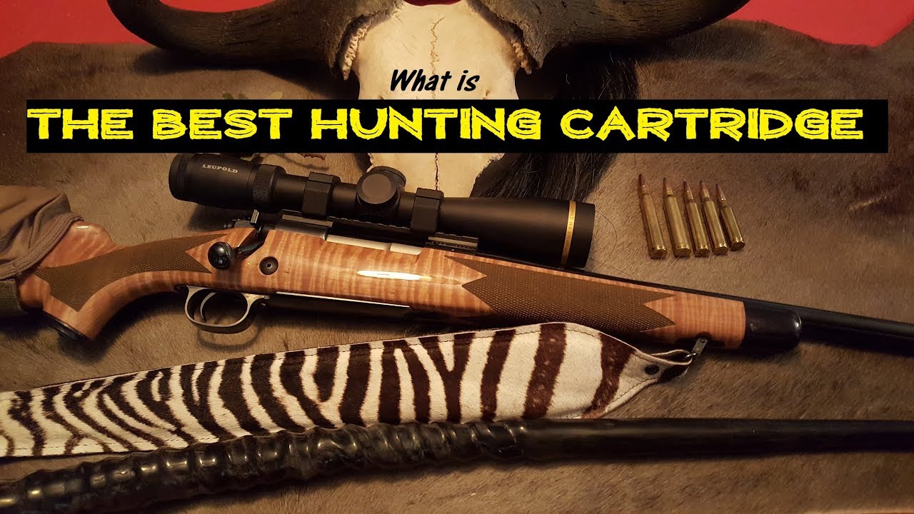 What is the best hunting cartridge? - YouTube