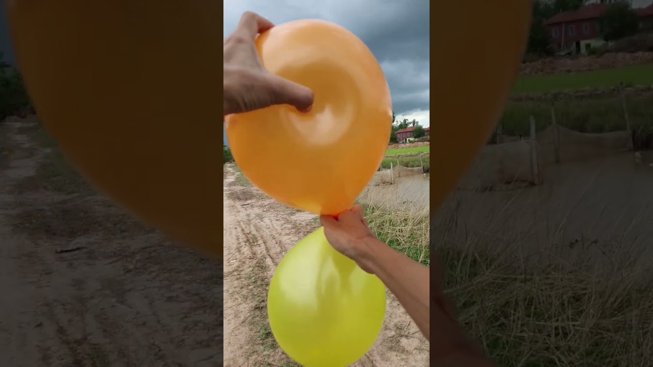 balloon pop, popping balloons balloon, learn colours - 51 #shorts - YouTube