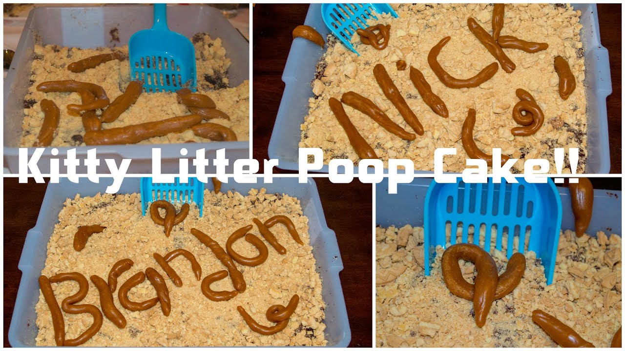 Kitty Litter Poop Cake! - YouTube