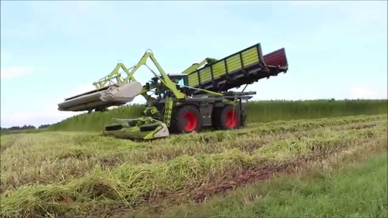 claas jaguar 870 shredlage. mais 2015 | corn | harvesting | maize - YouTube
