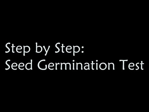 Step by Step: Seed Germination testing - YouTube