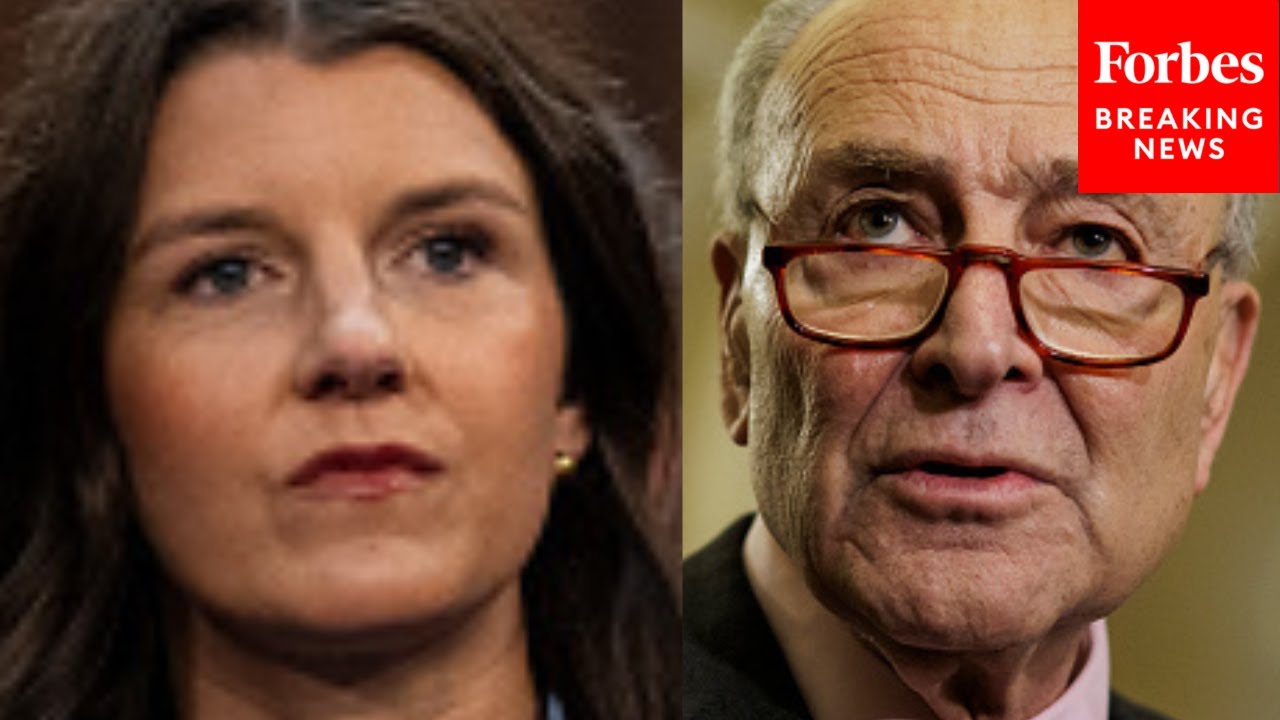 Chuck Schumer Drops The Hammer On Trump's Key Judicial Nominee - YouTube