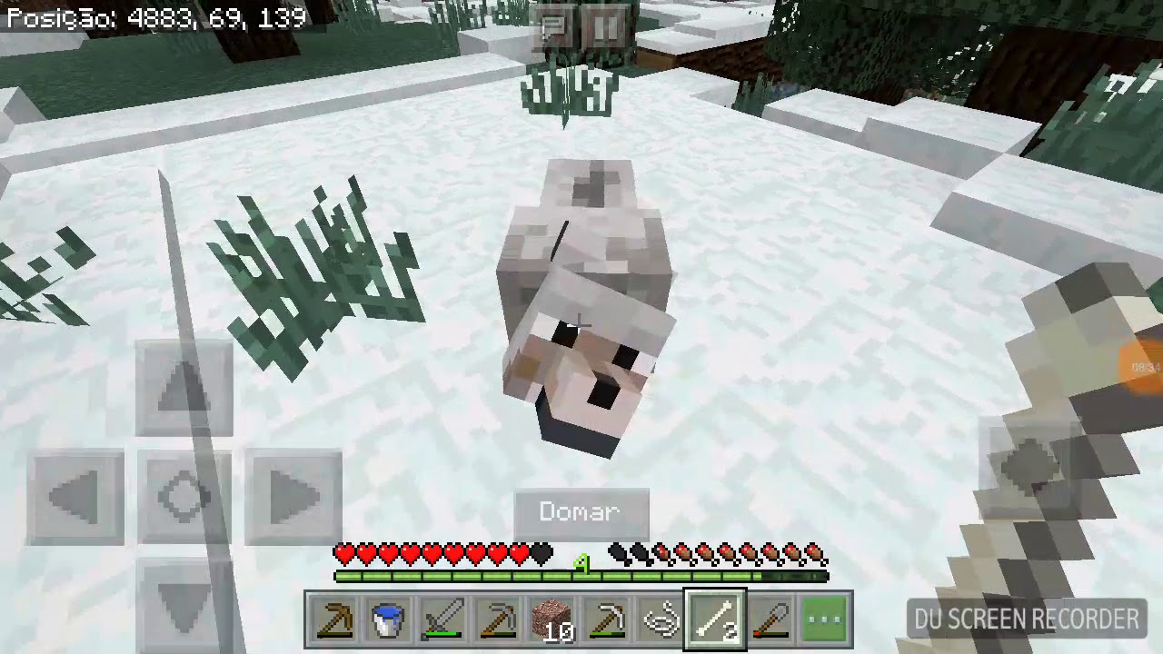 DOMEI UM CACHORRO MINECRAFT VIDA NA NEVE - YouTube